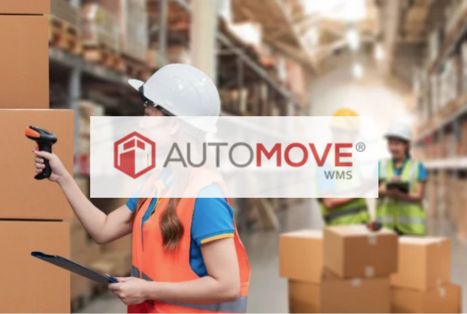 Automove WMS: la soluzione completa per la gestione del magazzino
