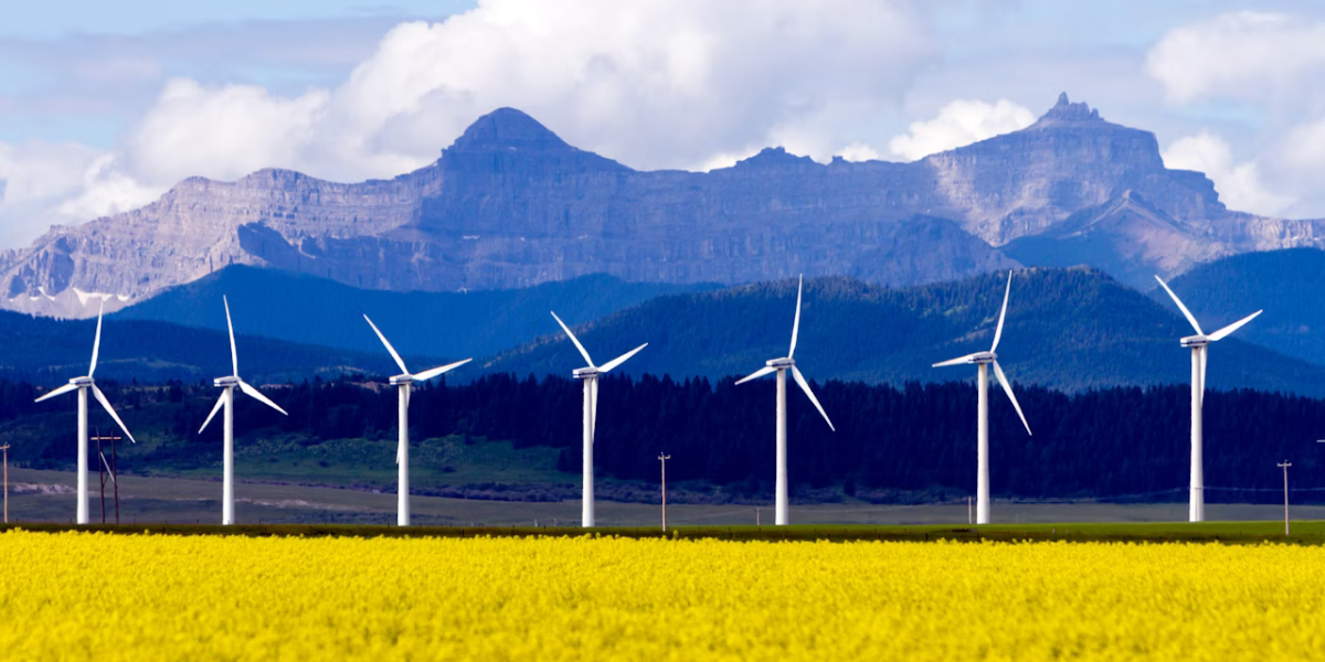 Renewable Energy and Biodiversity: The IEA Model for Sustainable Land Use